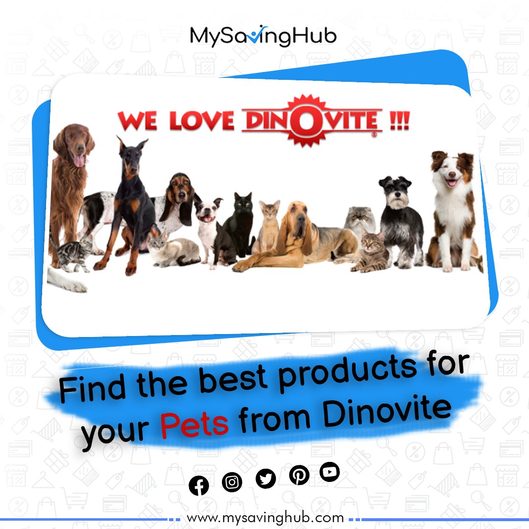 Is Dinovite Good For Your Dog