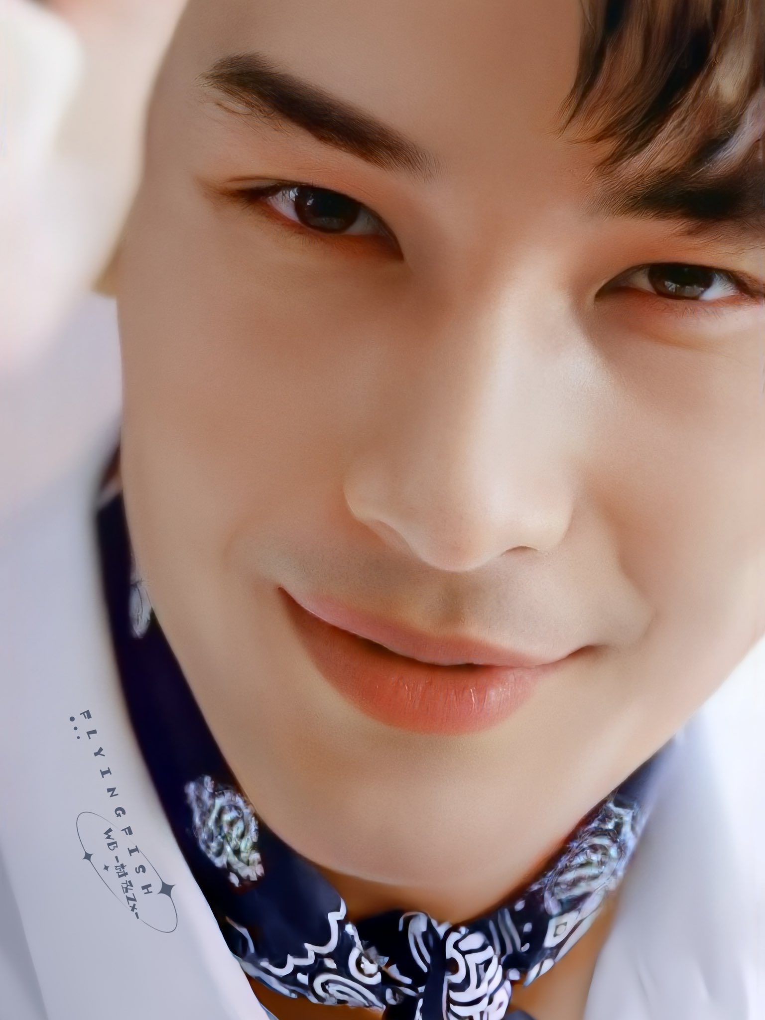 apon🐱🍊 (@aporanges) / Twitter