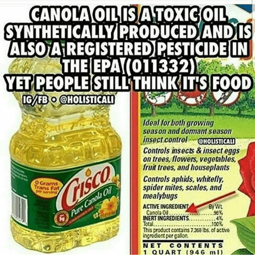 Crisco Memes Sat. Meme Ing For Smiles — Steemit
