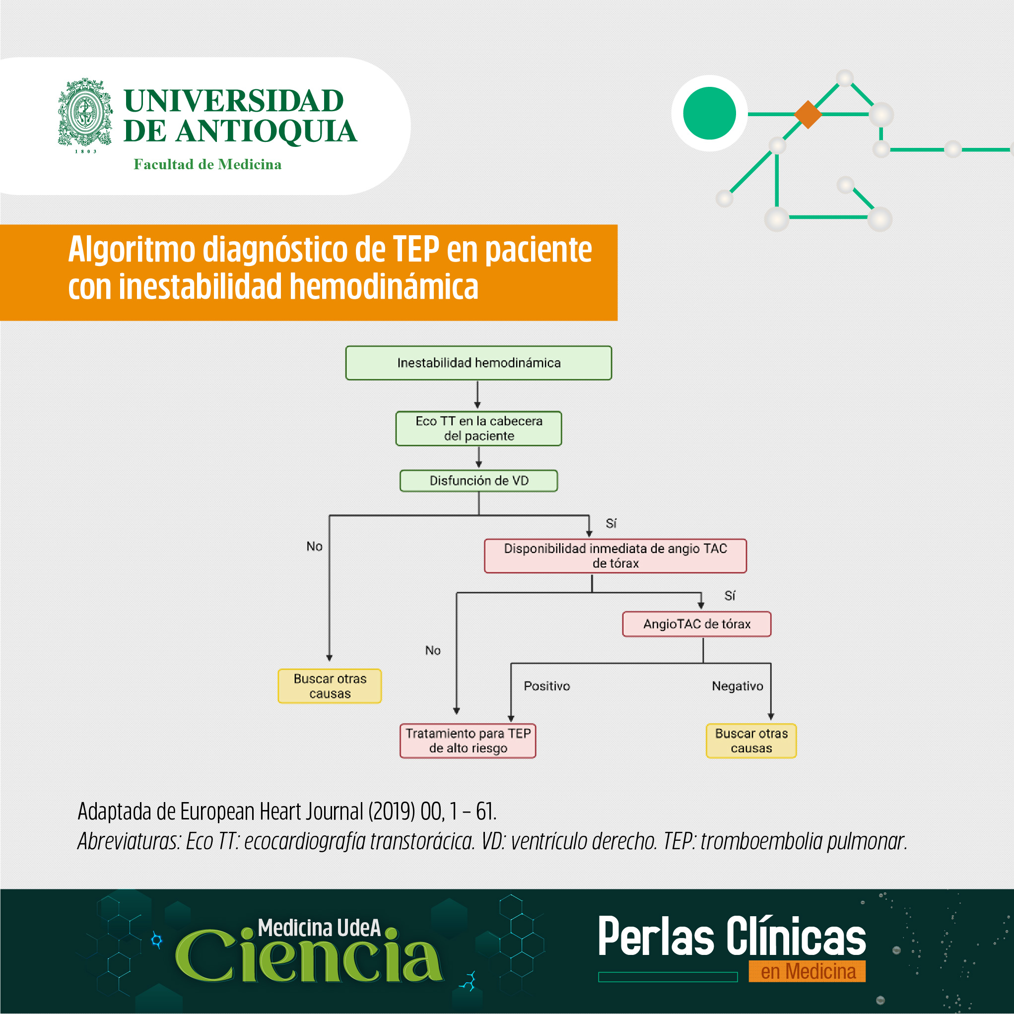 MedUdeACiencia on Twitter: "#PerlasClínicasUdeA | TEP Considerada la tercera enfermedad ...