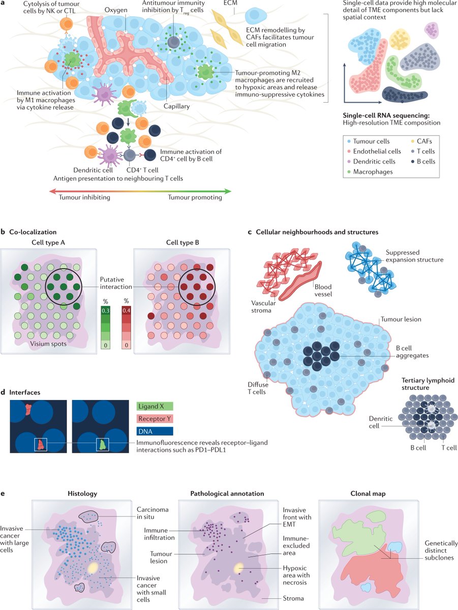 Nature Reviews Genetics on Twitter: Nature Reviews Genetics on Twitter:
