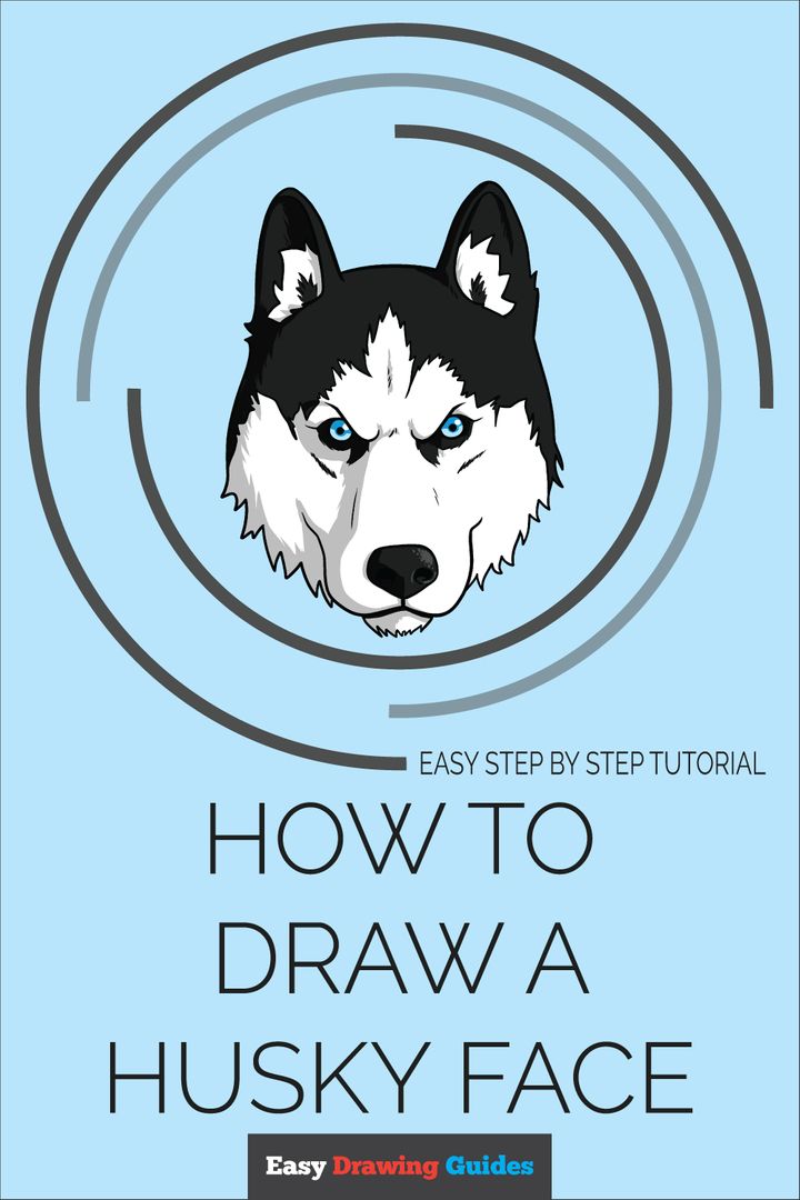 How To Draw A Husky Face Step By Step