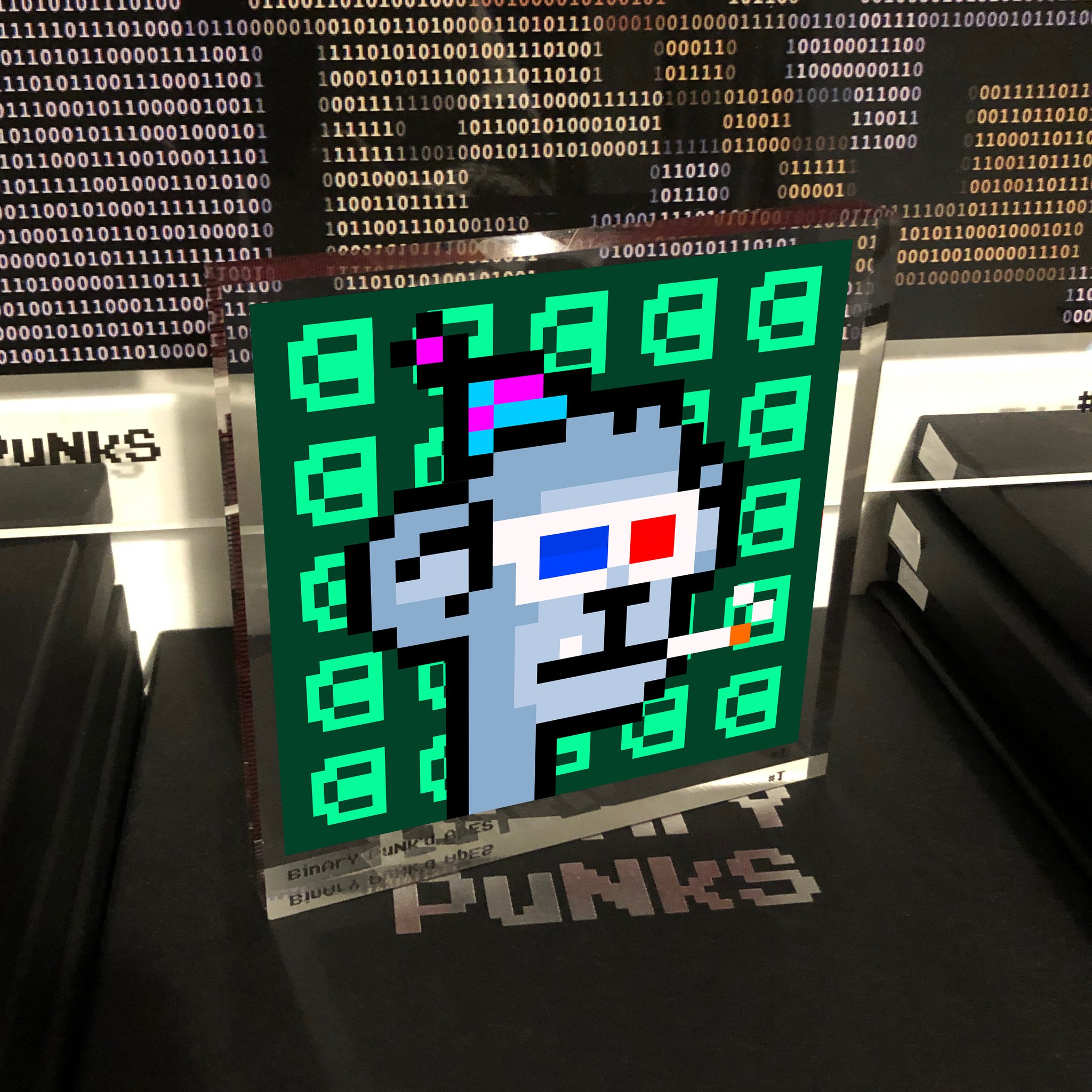 PortalJump.io Cross-Chain LAUNCHPAD on Twitter: "The @Binary_Punks' #Canto Punk'd Apes is now ...