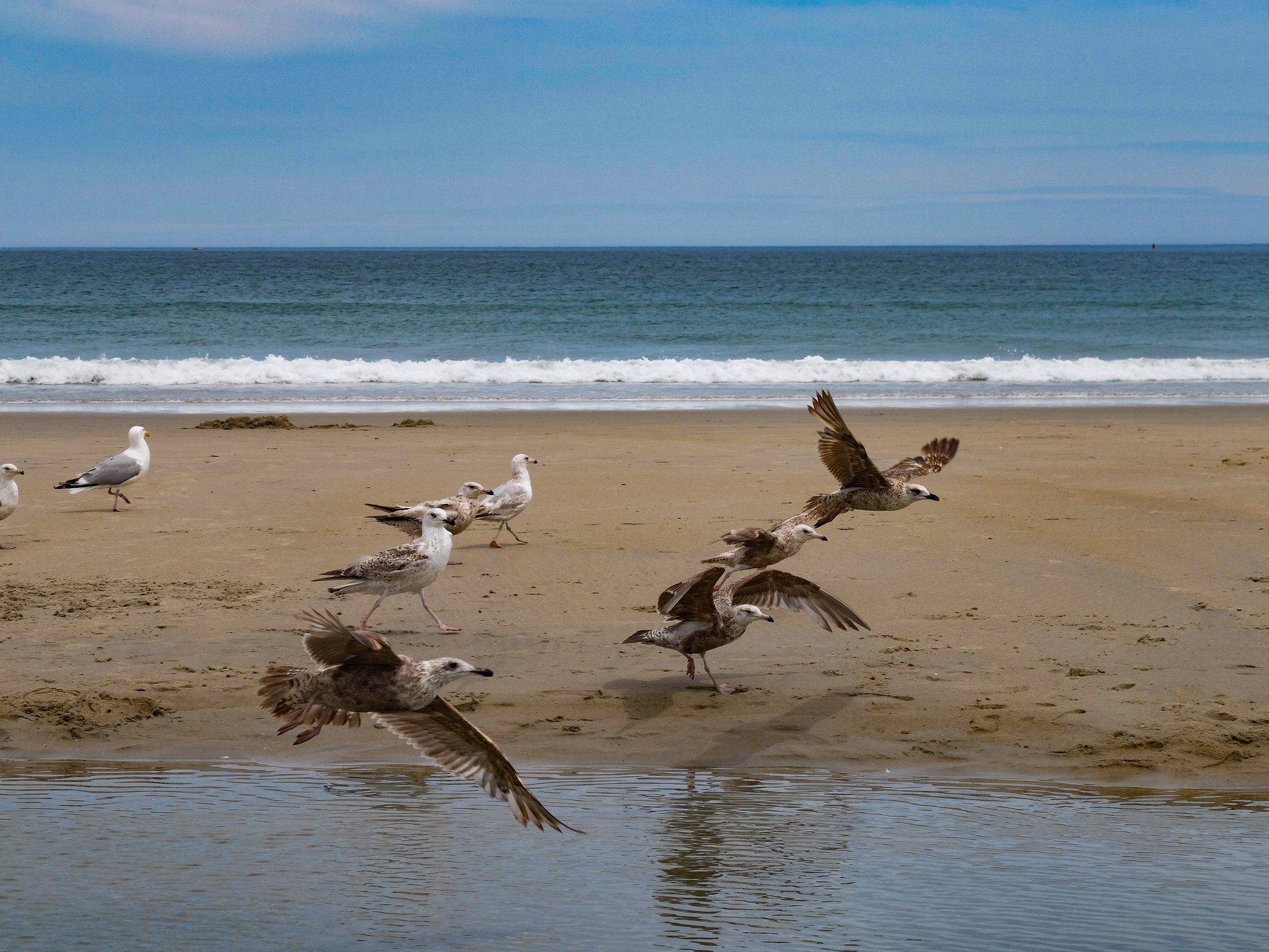 ReRe (@ReRe_pics) / Twitter