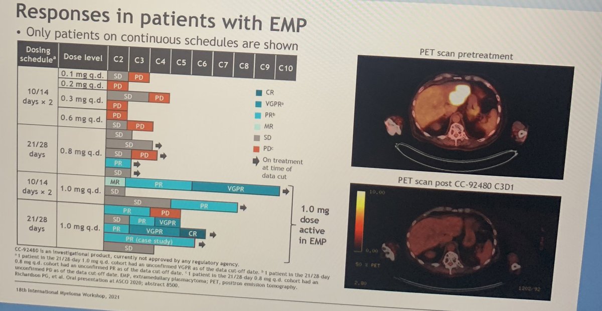 VIEW: Cancer Social Listening