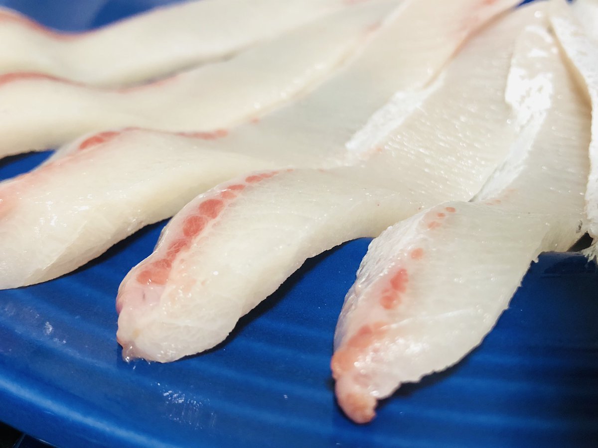 ゼロ(@zero_chipmunk) - Twilog (ツイログ)