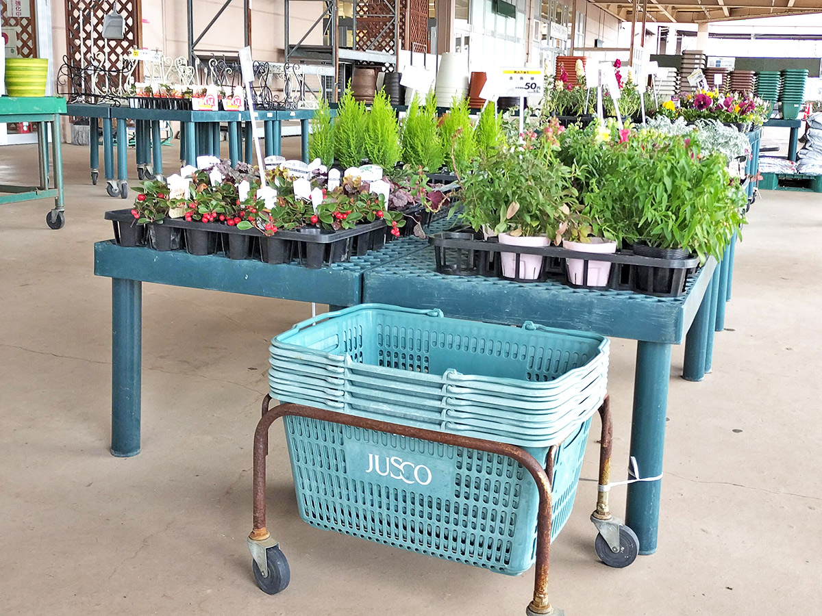 j-rakuda on Twitter: "@teturoad 例えばイオン新潟南ショッピングセンターのジャスコ新潟南店。イオン新発田ショッピングセンターのジャスコ新発田店という感じでした😃今 ...