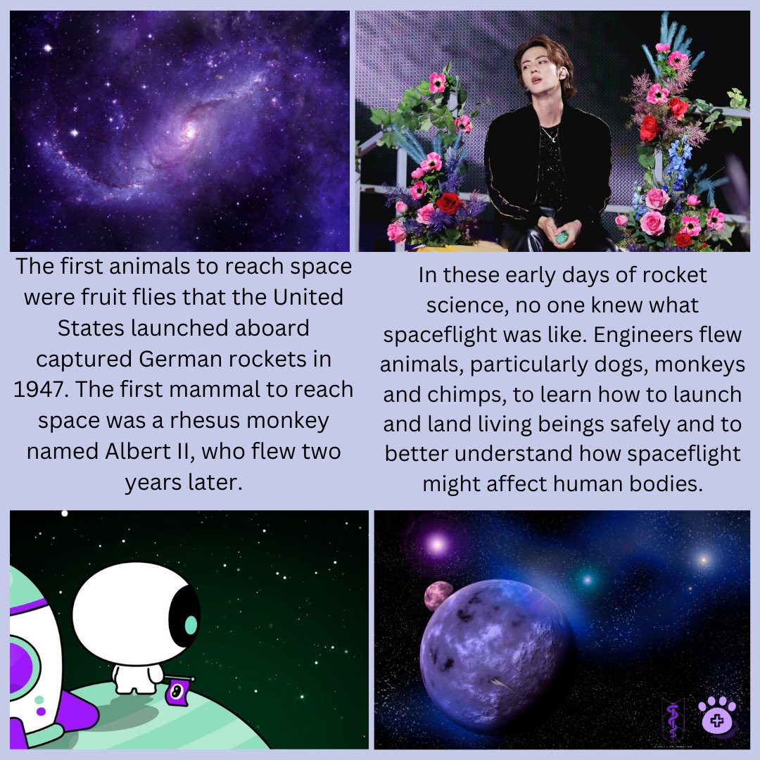 Dog Human Space Exploration