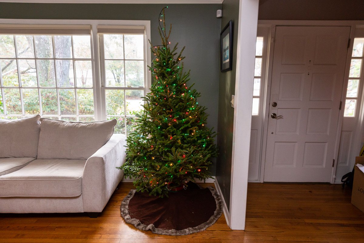 These Philips Hue string lights will make your Christmas tree sparkle ...