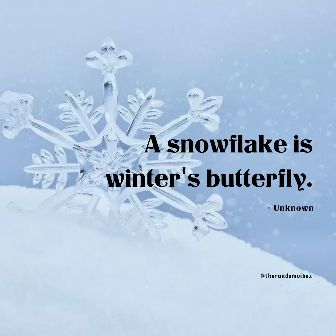 Snowflake Quotes Unique