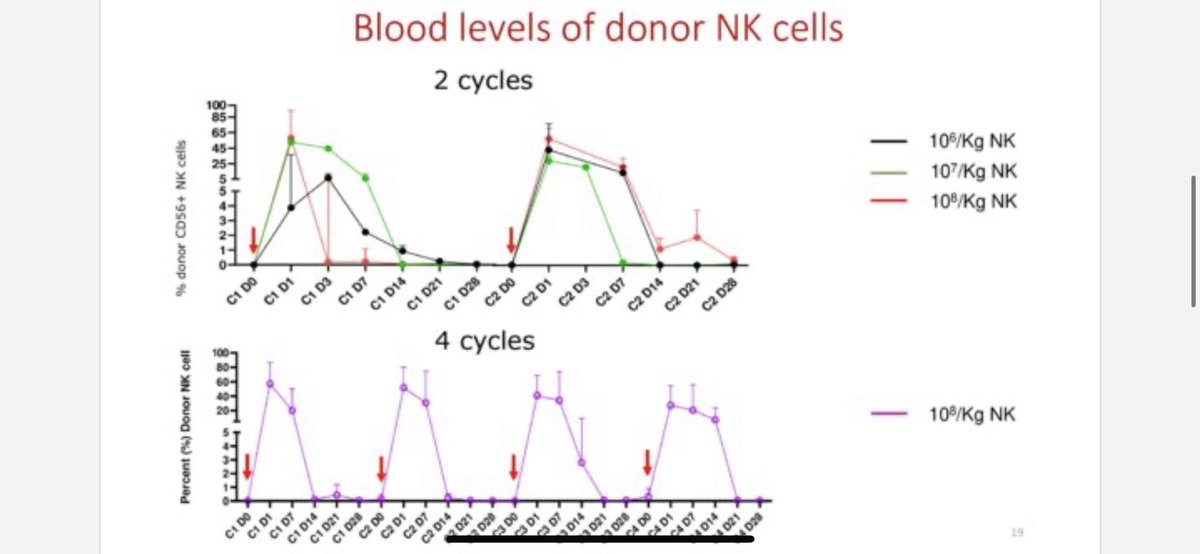 VIEW: Cancer Social Listening