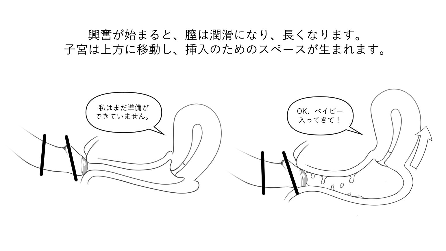 Erotibot On Twitter 性交渉のチュートリアル。日本語話者向け。 この翻訳を手伝ってくれた Asakitakayukiに