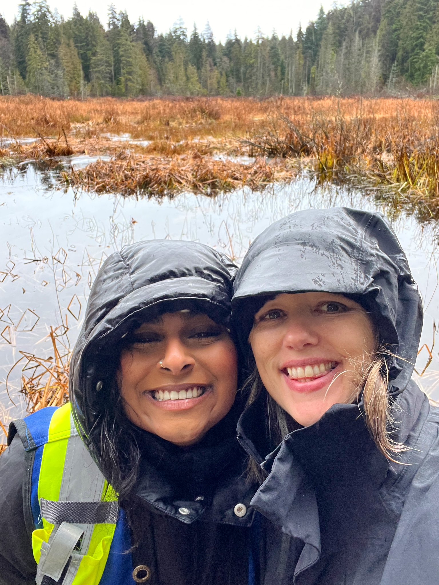 TW Pornstars - Tara Tiger Brown Ⓥ 🌲💚. Twitter. The winter forest ...