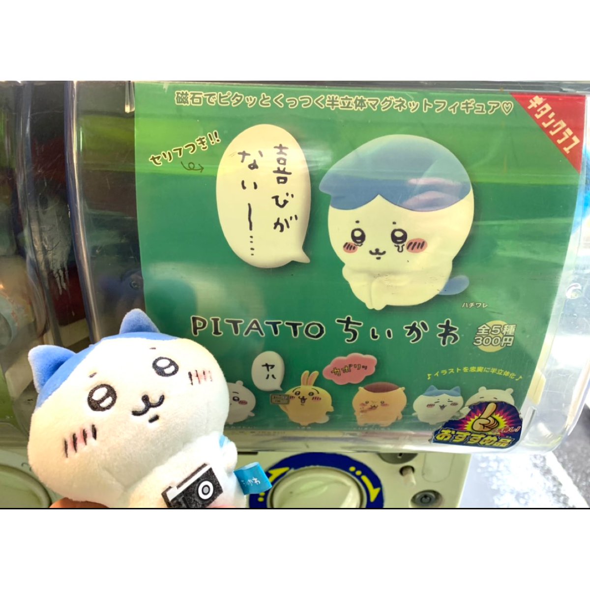 Kyo【楽しくちい活😽 ♪】 On Twitter 今年一年一緒旅をしてくれたカメラマンのハチワレちゃん😽📸 どこに売ってるんですか?と質問がとても多かったのですが ちいかわらんどで今再販