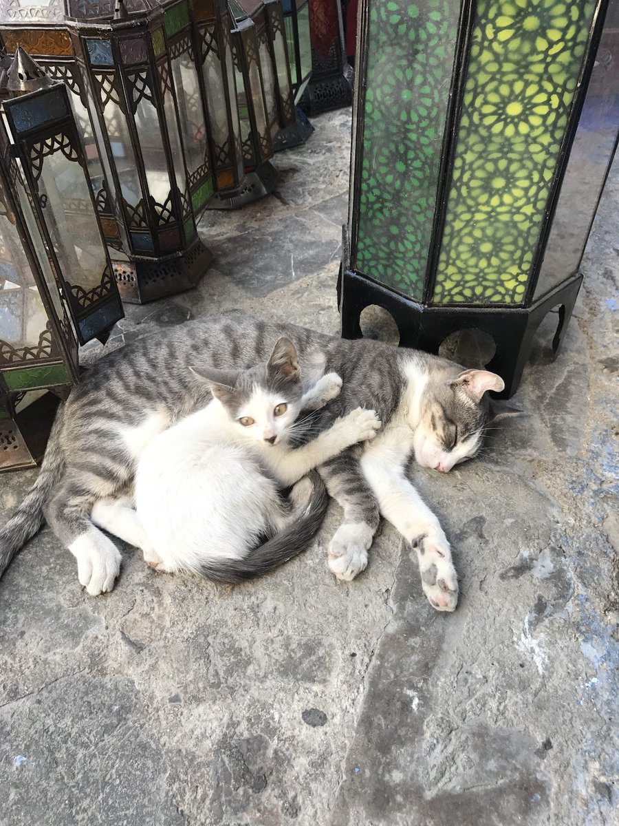 tmk(@cannon_darc) - Twilog (ツイログ)