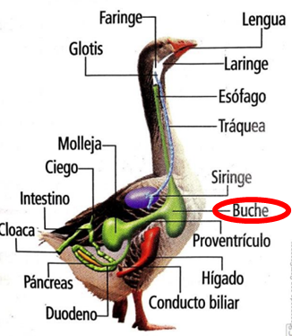 Thread by @JuanPascual4 on Thread Reader App – Thread Reader App