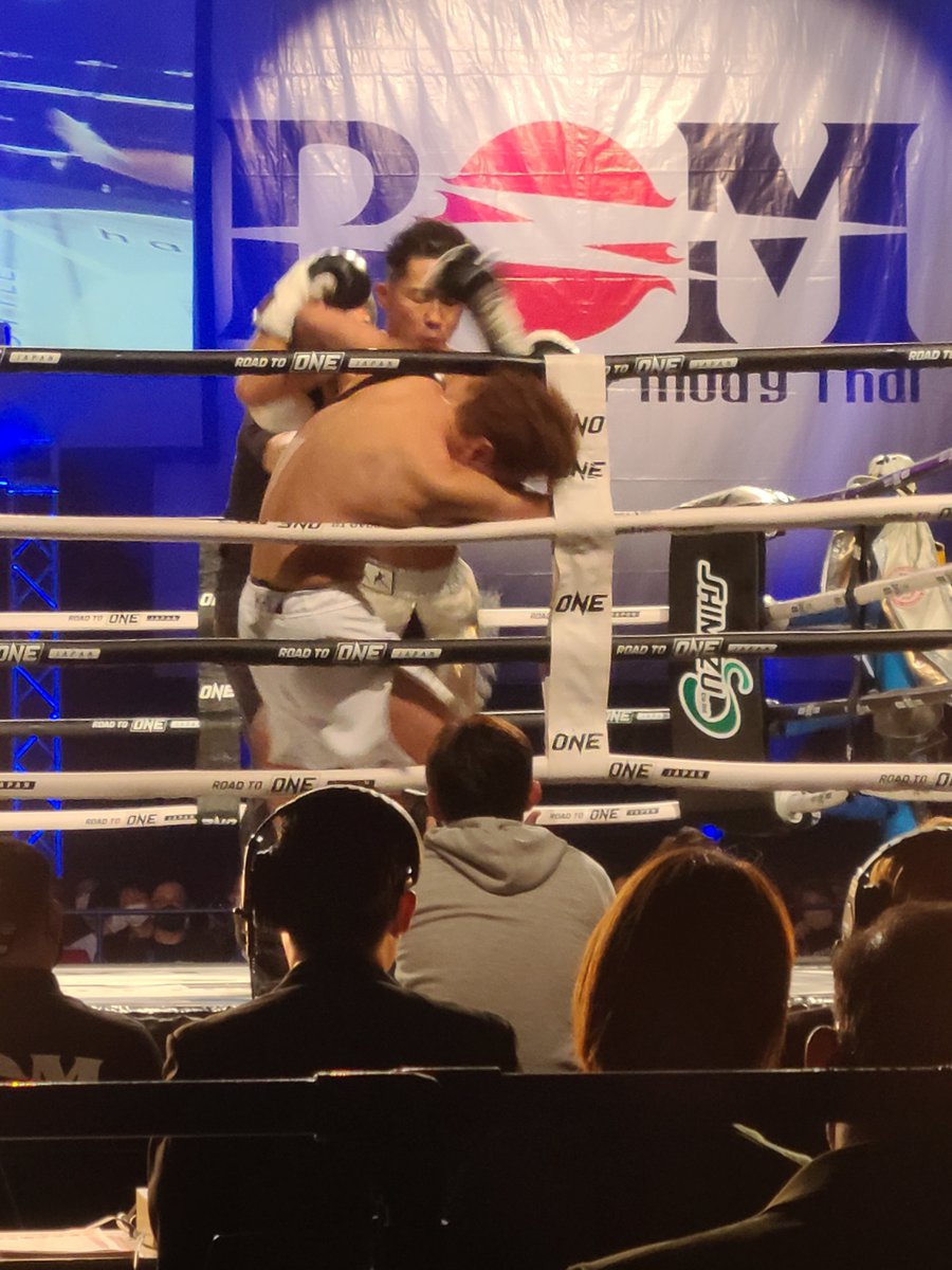 サーバル on Twitter: "第2試合 58.5kg契約 3分3R 亀本勇翔（K-1 GYM SAGAMI-ONO KREST／元Bigbangスーパーバンタム級王者） 拳太（MSJ ...