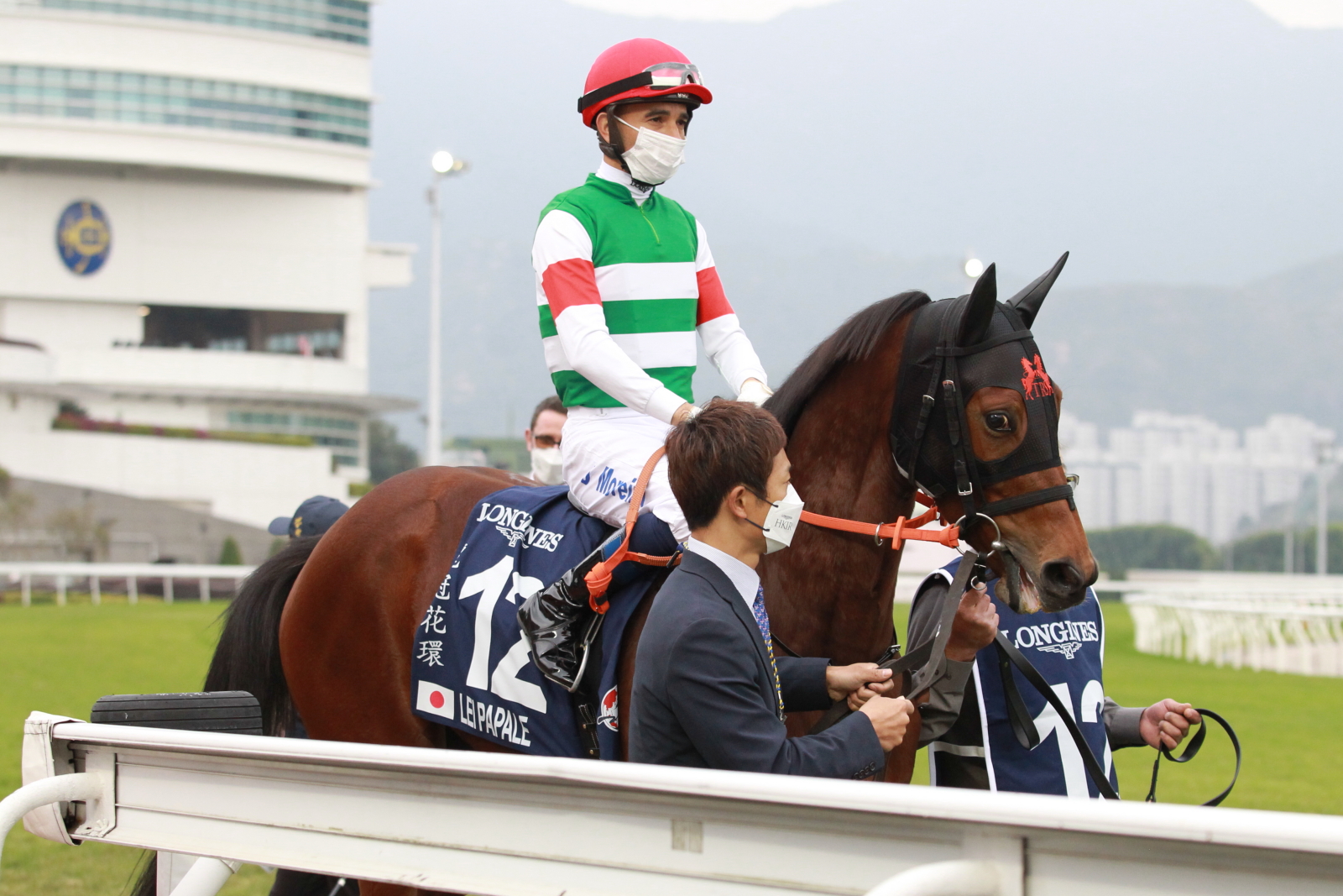 JRA-VAN公式 on Twitter: "#香港国際競走 #香港カップ #レイパパレ https://t.co/BYZLWZQiOG" / Twitter