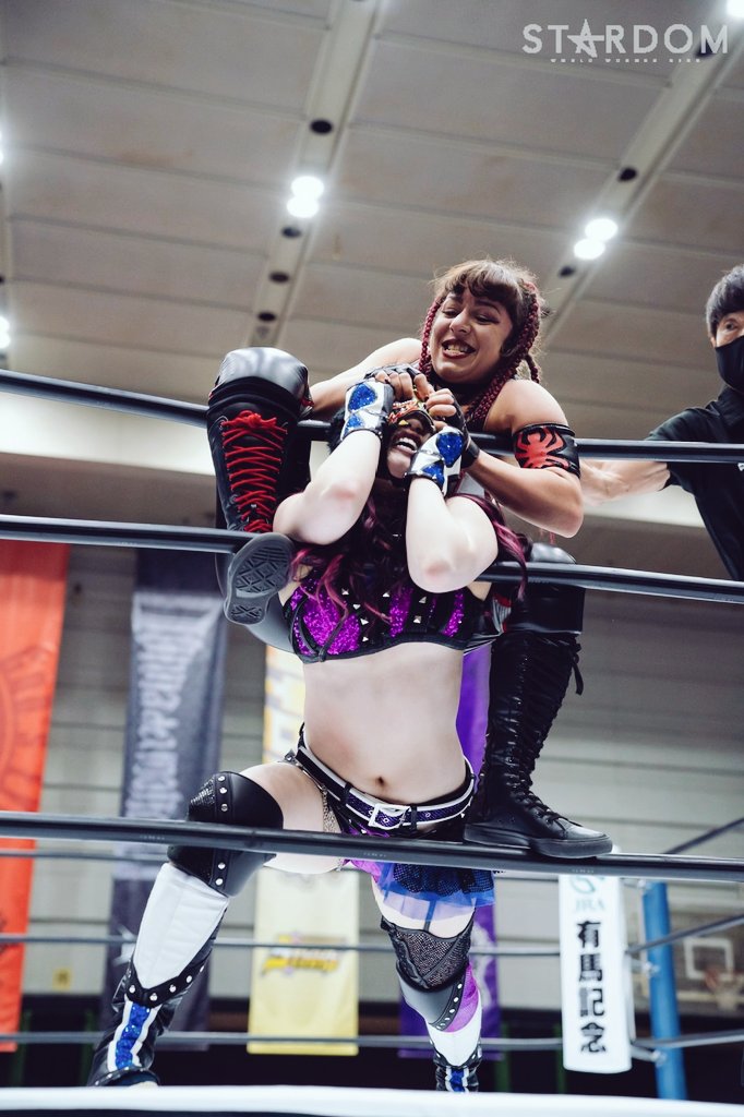 スターダム STARDOM on Twitter: "RT @StarLight_Kid11: って、おまけのちーちゃな蜘蛛さんが言ってます🐯 NEW BLOOD、遊んでやるか〜。 #SLK ...