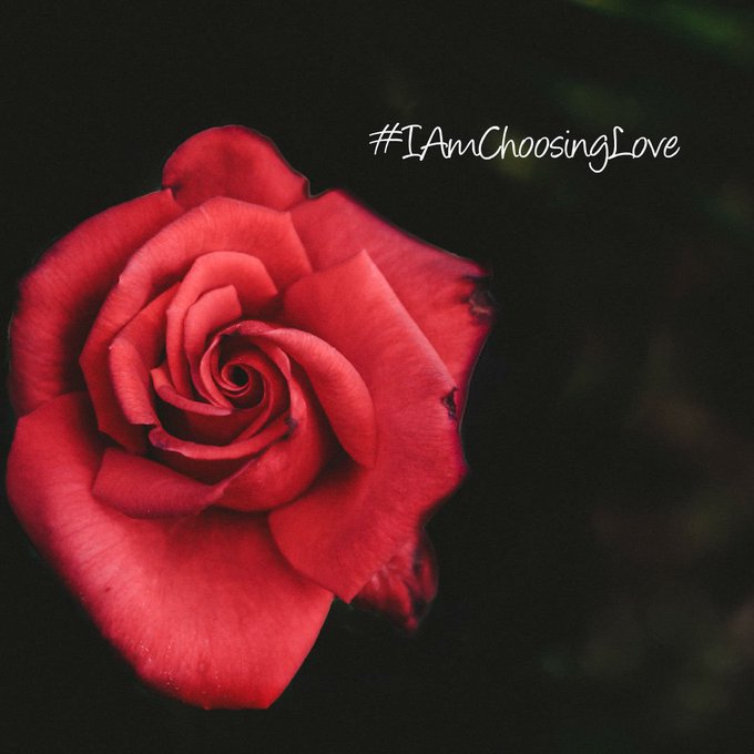 Roses In December Quote