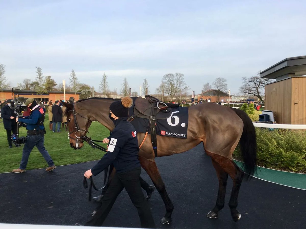 The Longines Royal International Horse Show ~ EquiPepper