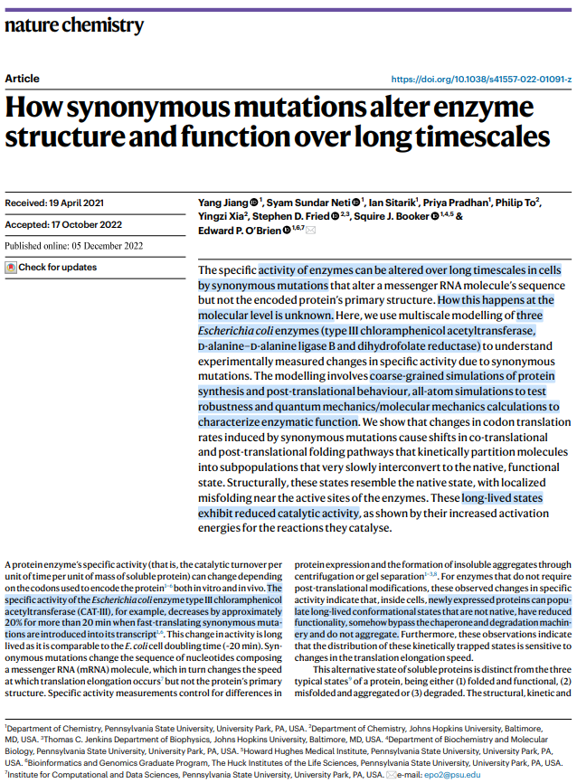 Translation Mutation