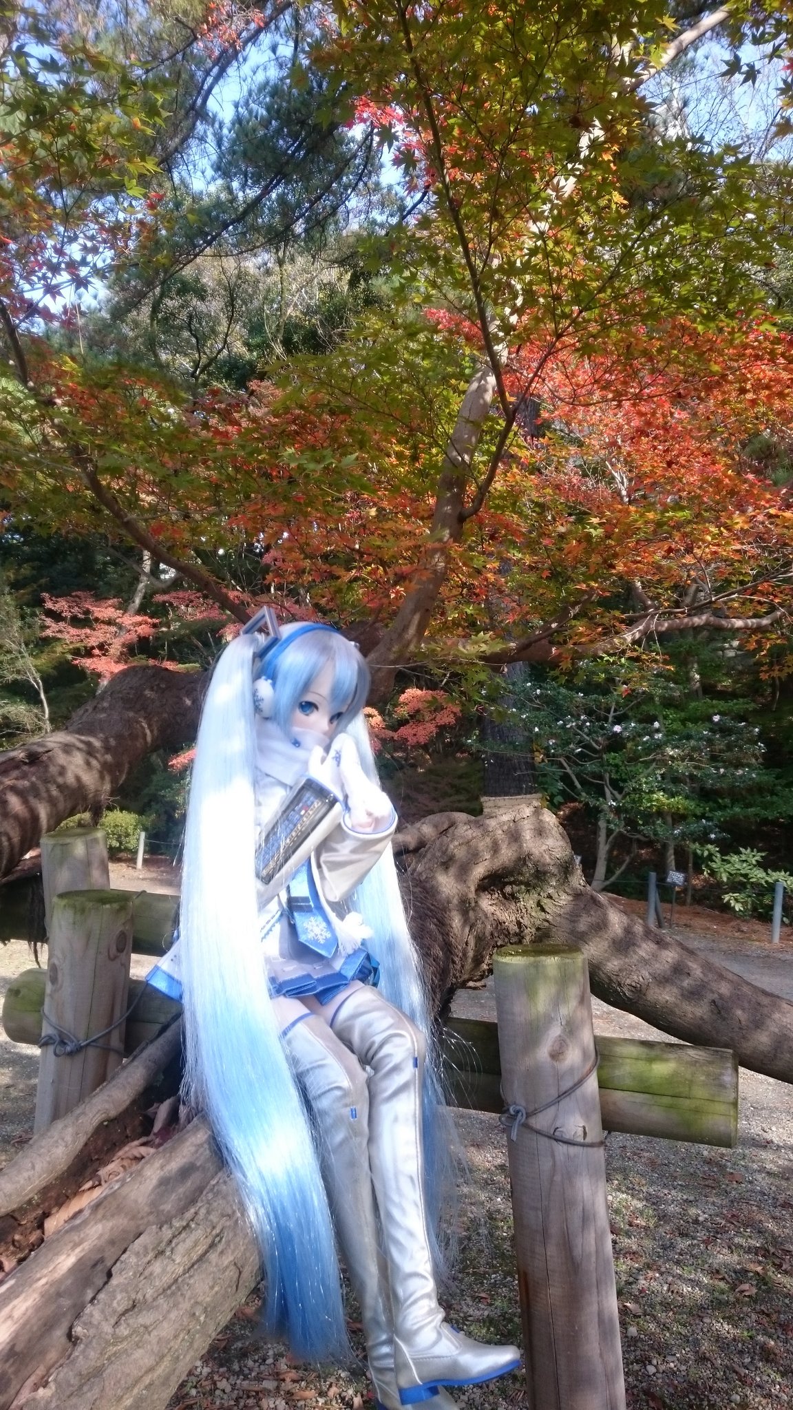 あるさん a.k.a 蛸番長 @ Gaia/Tiamat (@Alusan_tiamat) / Twitter