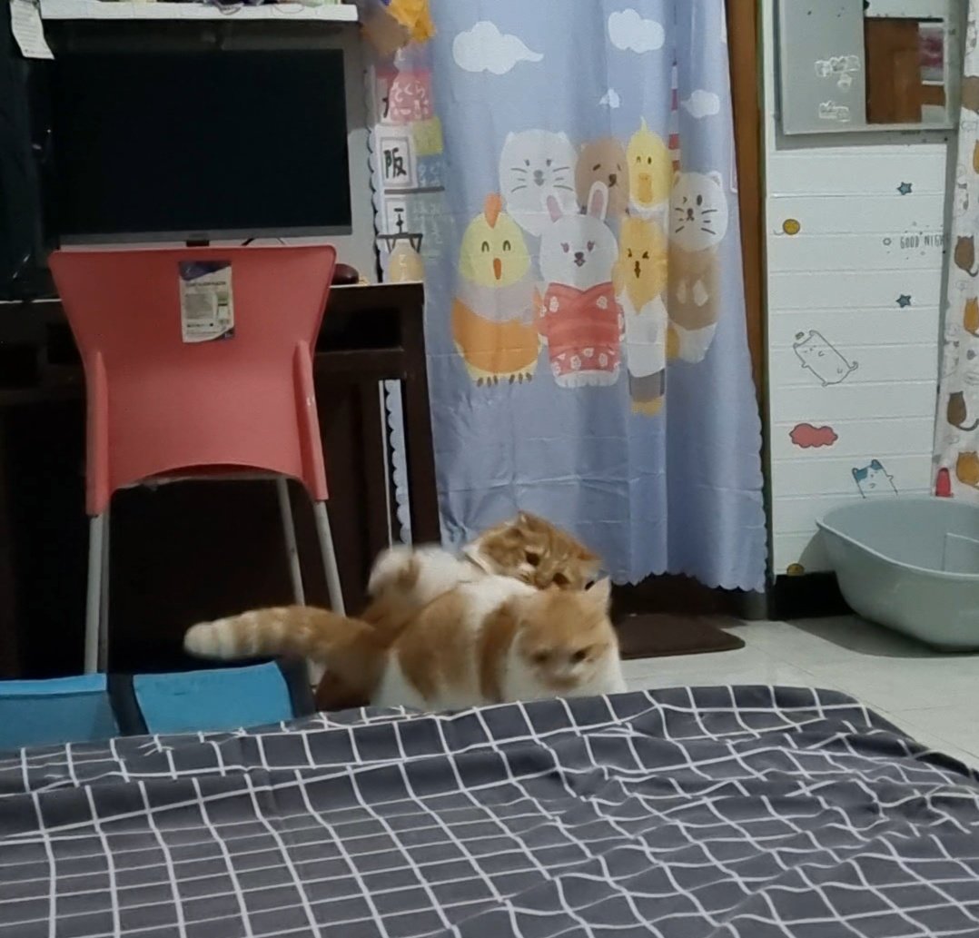 Mas Yuj dan Nyomo~ on Twitter: "Kurasa aku harus menghargai passion ...