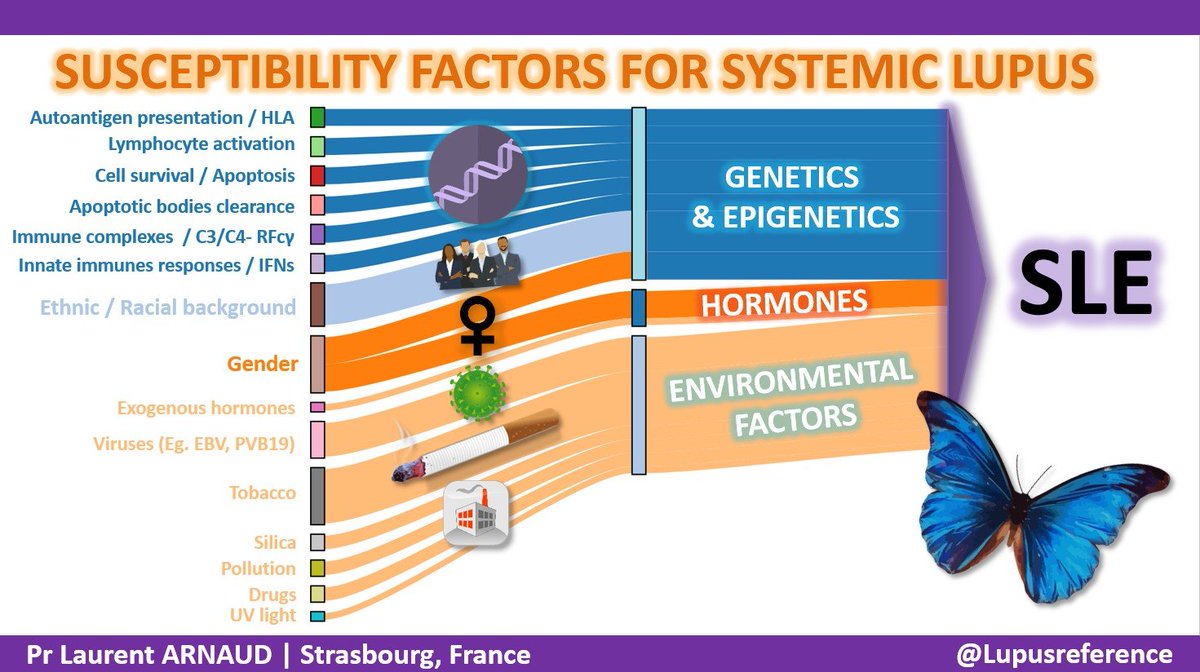 Meet the Lupus World at the ICL in Vienna - Lupus Europe