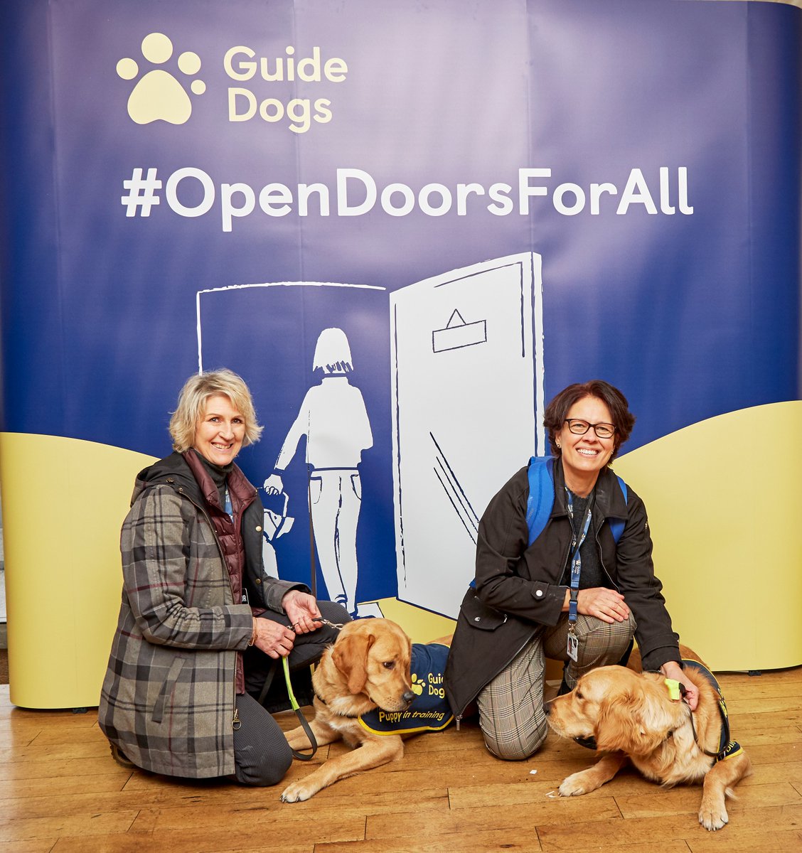Do Guide Dogs Get Government Funding