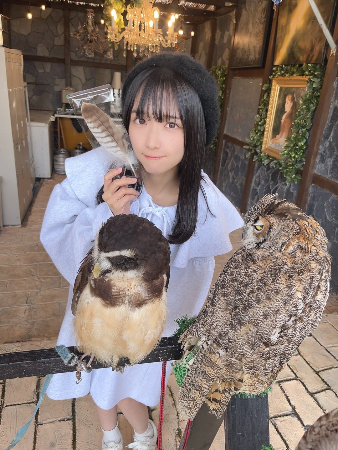 高雄 さやか on Twitter: "#STULABO #N#みんなだいすきサヤゴロウです👧🏻#N#今回は…スペシャルゲストとミニ動物園へ🐾#N##N#大人気の動物たちが間近に‼︎#N#最高 ...