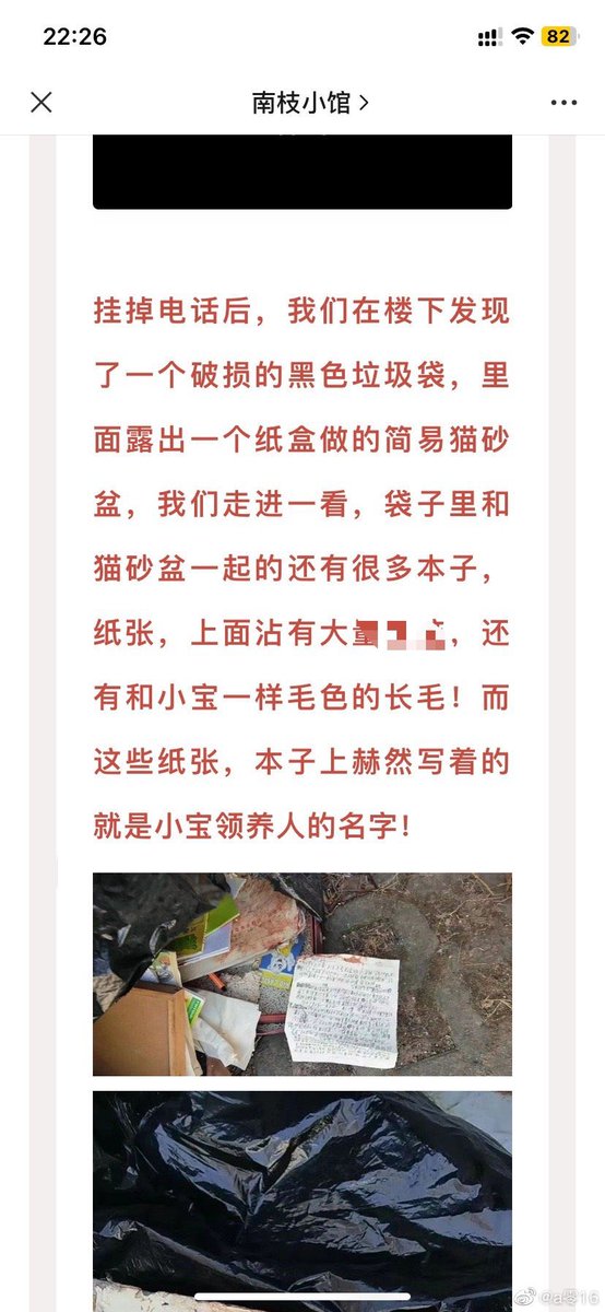 江浙沪懒懒🐱处男杀手 On Twitter 只想让更多人看到,这难道是一件不起眼的小事情吗?仔细想想如果现在敢领养猫咪nue砂,以后满足不了自己的yu望,是不是就要砂仁了呢?小猫咪是无辜的