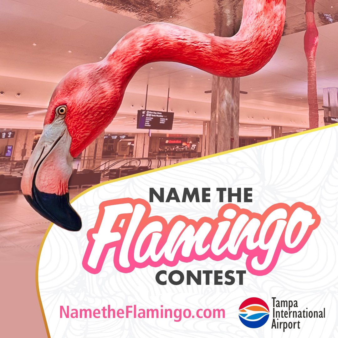 Names For A Flamingo
