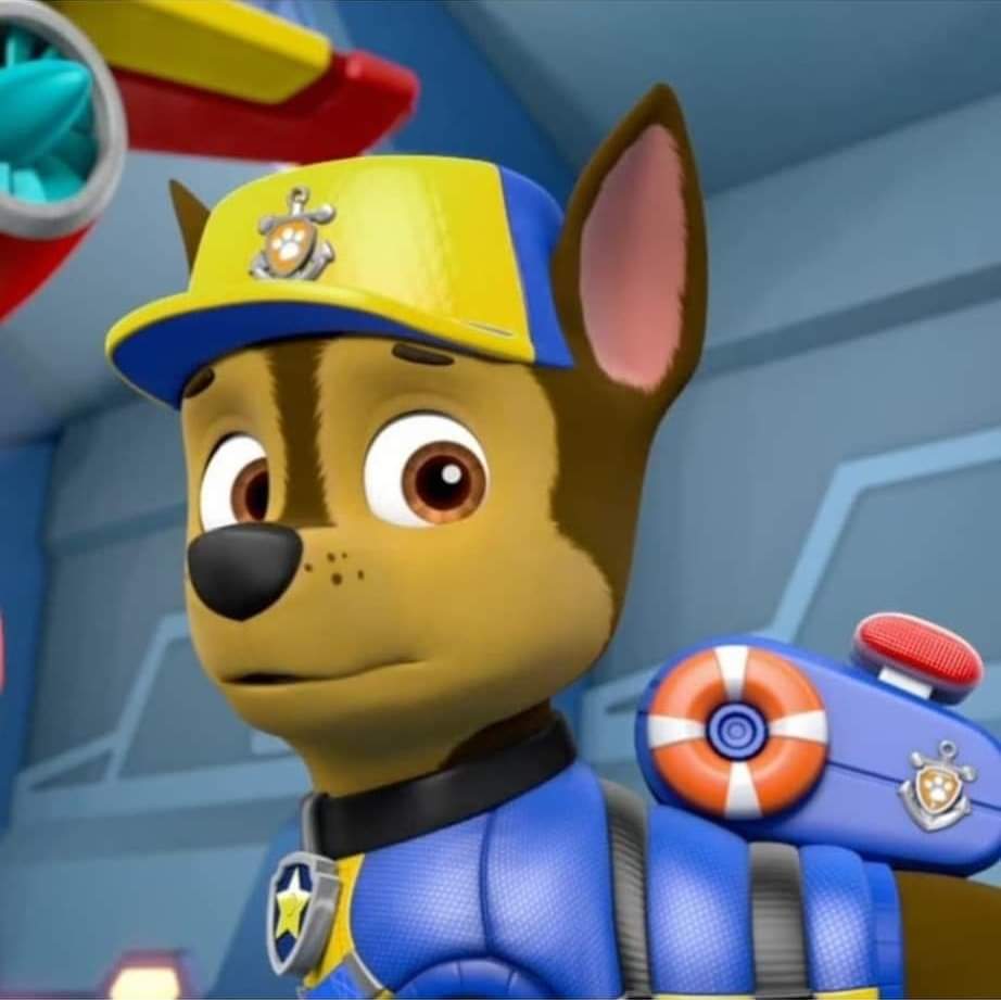 Chase German Shepherd. on Twitter: "Ruff hello pups!"