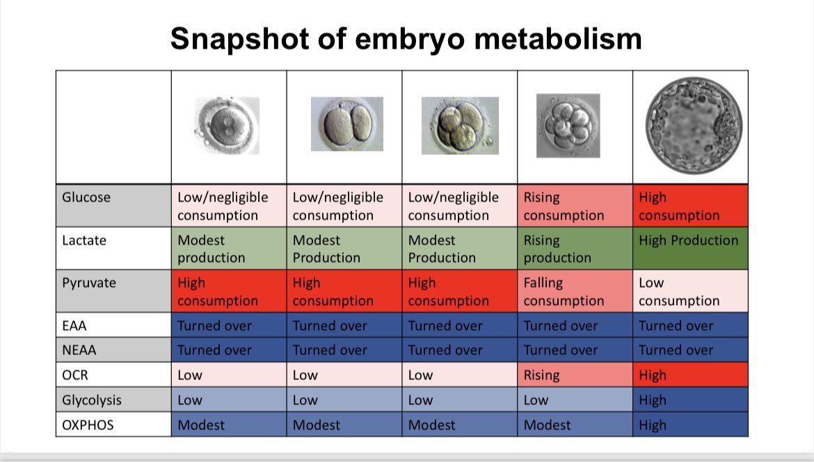 ESHRE SIG Embryology (@ESHRESIGEmbryo) / Twitter ESHRE SIG Embryology (@ESHRESIGEmbryo) / Twitter