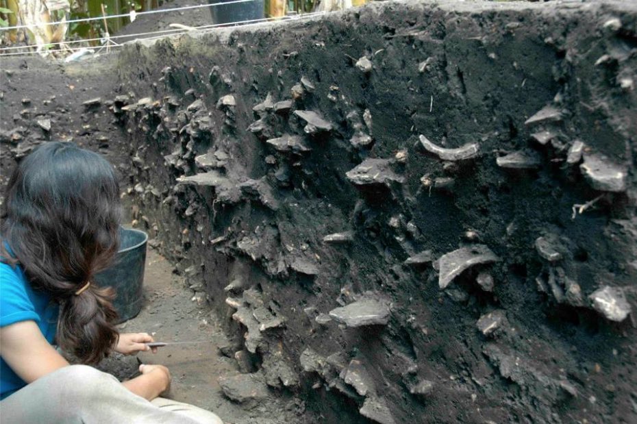 The clay soils of the Amazon rainforest are the most nutrient poor on ...