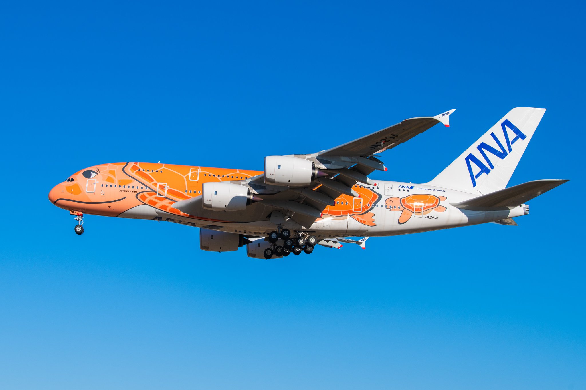 かばね・てんぷらそば on Twitter: "2022/12/27 成田空港 ひこうきの丘 ANA A380 「フライングホヌ」 JA383A 本日、整備フライトで20分ほど飛んでくれました ...