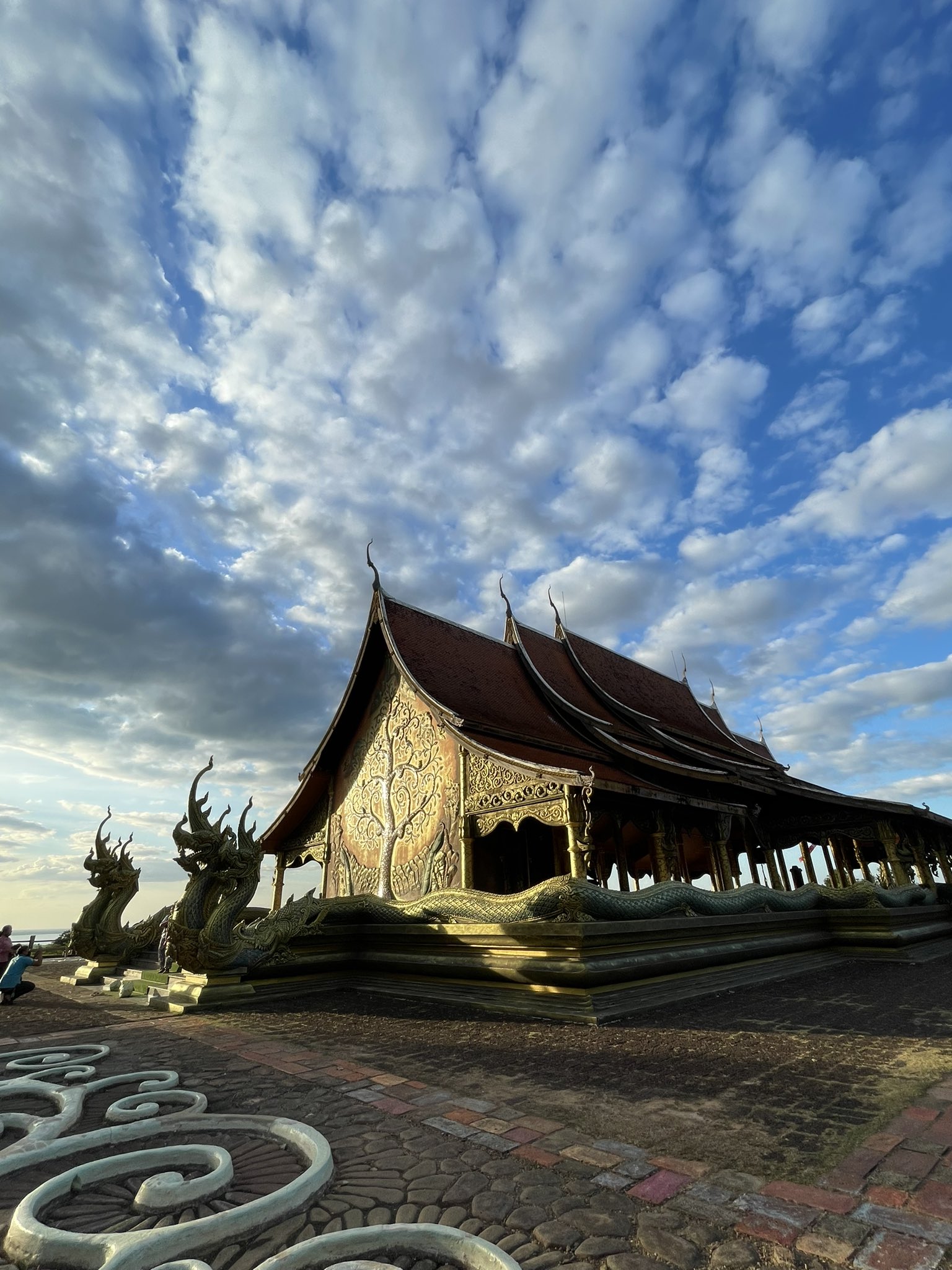 タイネコ 🇹🇭@newsdethaigo (@newsdethaigo) / Twitter