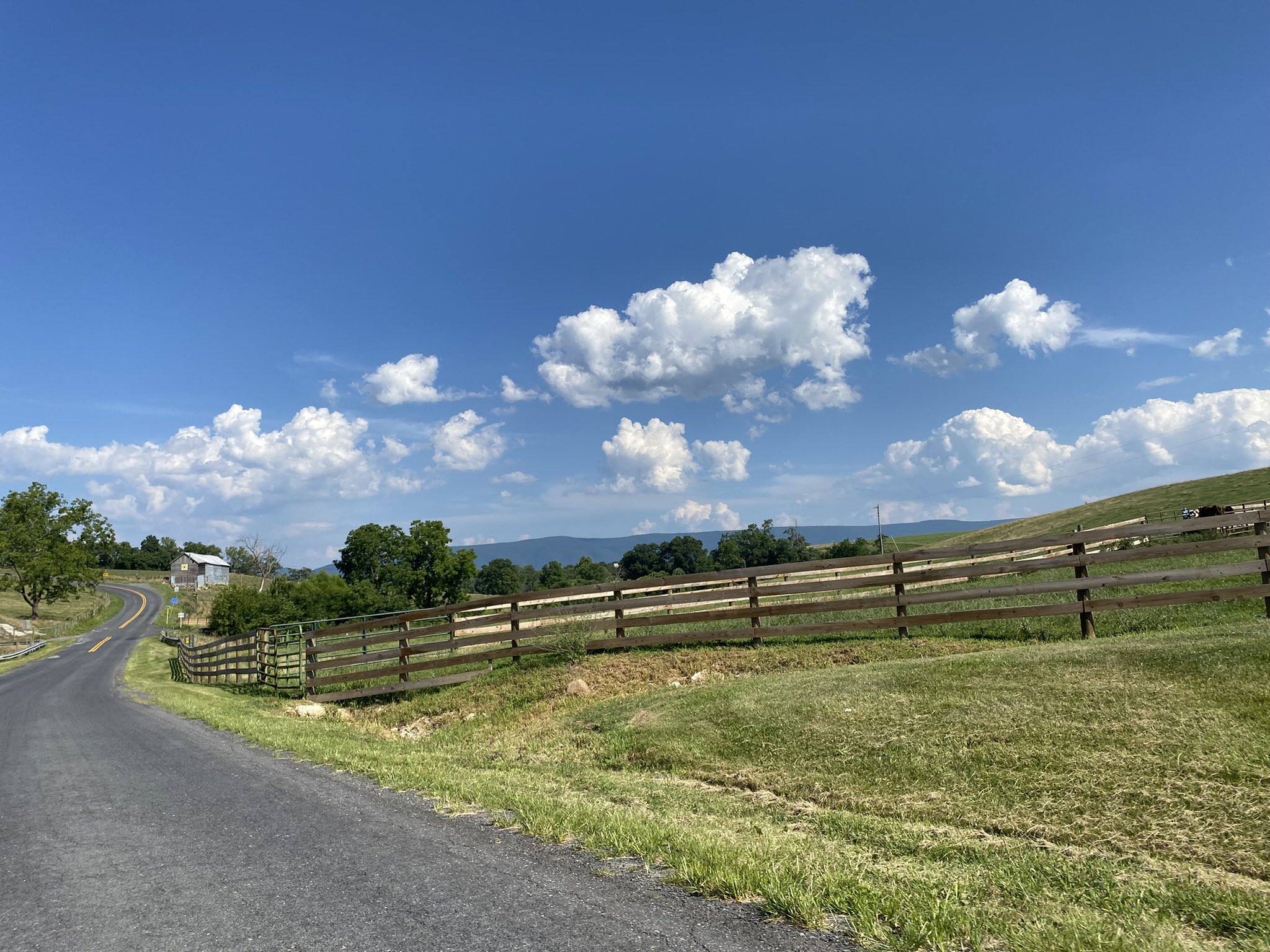 Jeanne Ellen Russell on Twitter: "Hey peeps! Bob Smith (@friendsofbsmith) is our new candidate ...