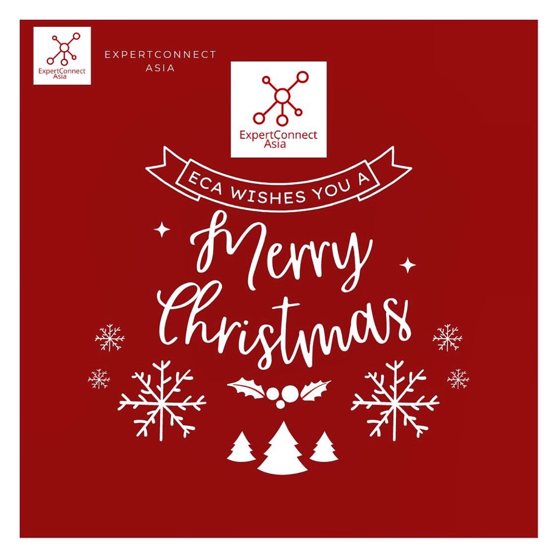 ExpertConnect Asia - Southeast Asia's Leading Professional Network.