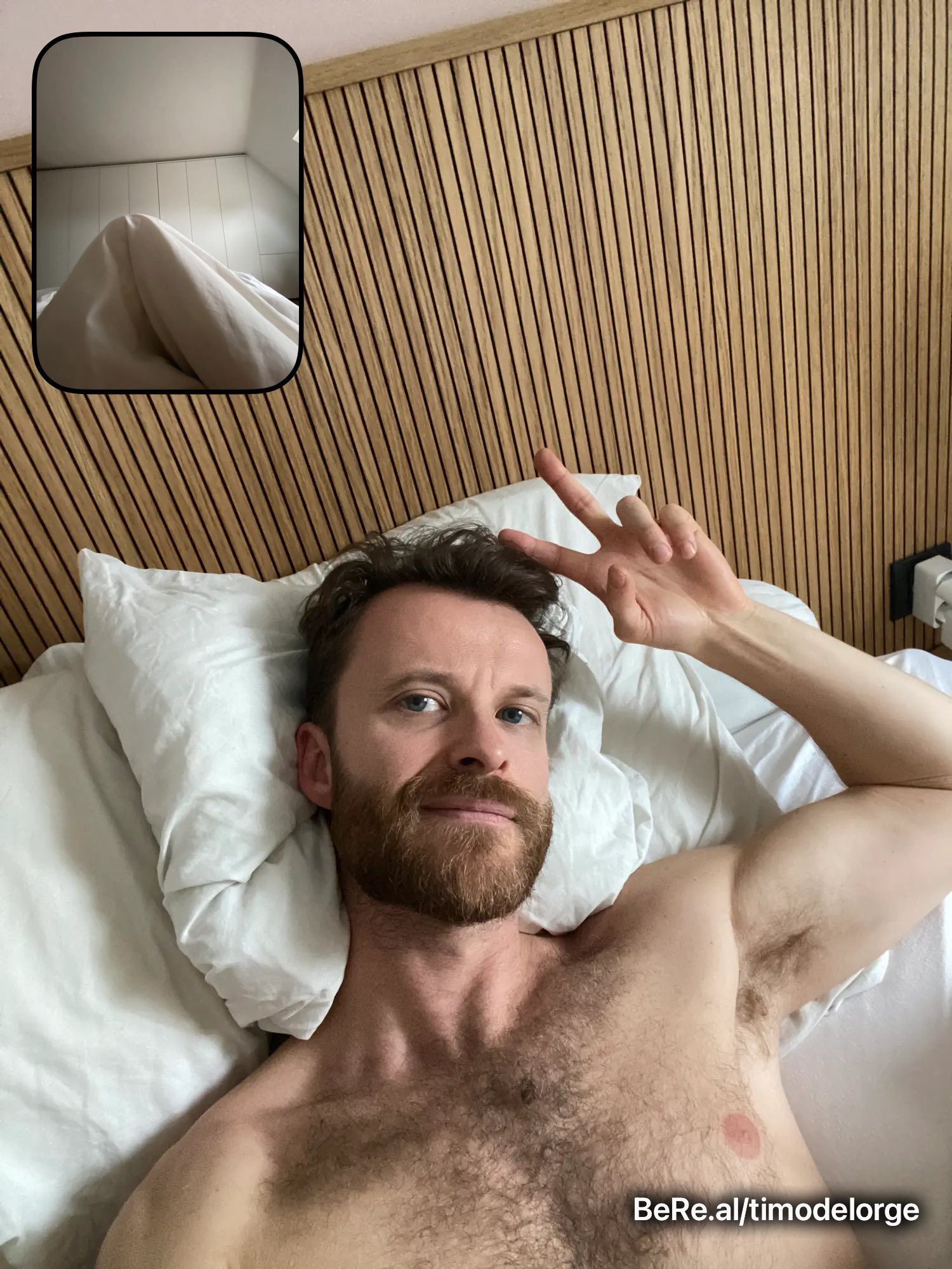 Timo D ♍️ on Twitter: "Tried to stay in bed all day 🎄 https://t.co/sQmOznQ4GT" / Twitter