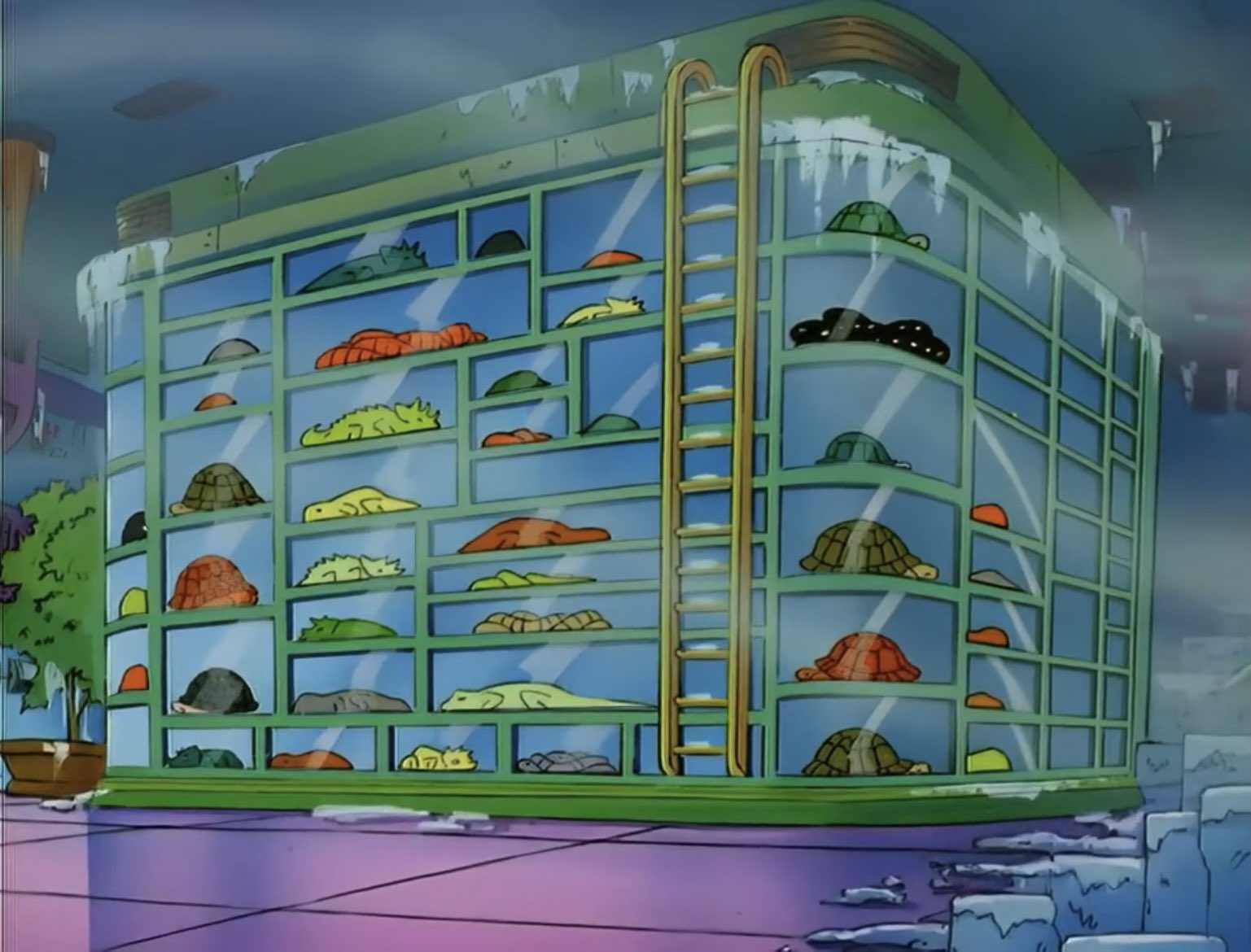 Alex Bale on Twitter: "I was very close to making my Magic School Bus ...