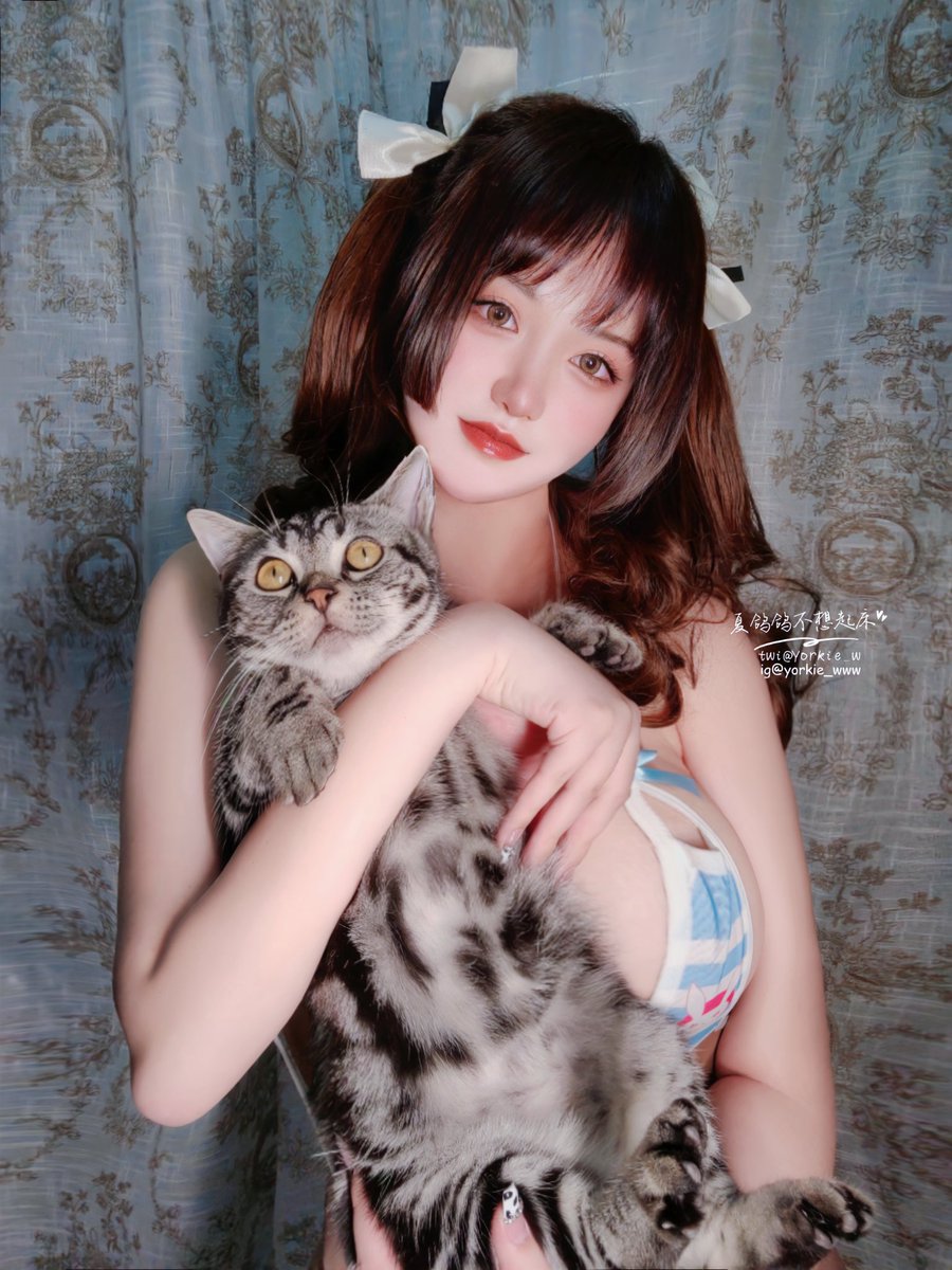 Girls and cats🐱 夏鸽鸽☞fantia写真販売中!!! @yorkie_w