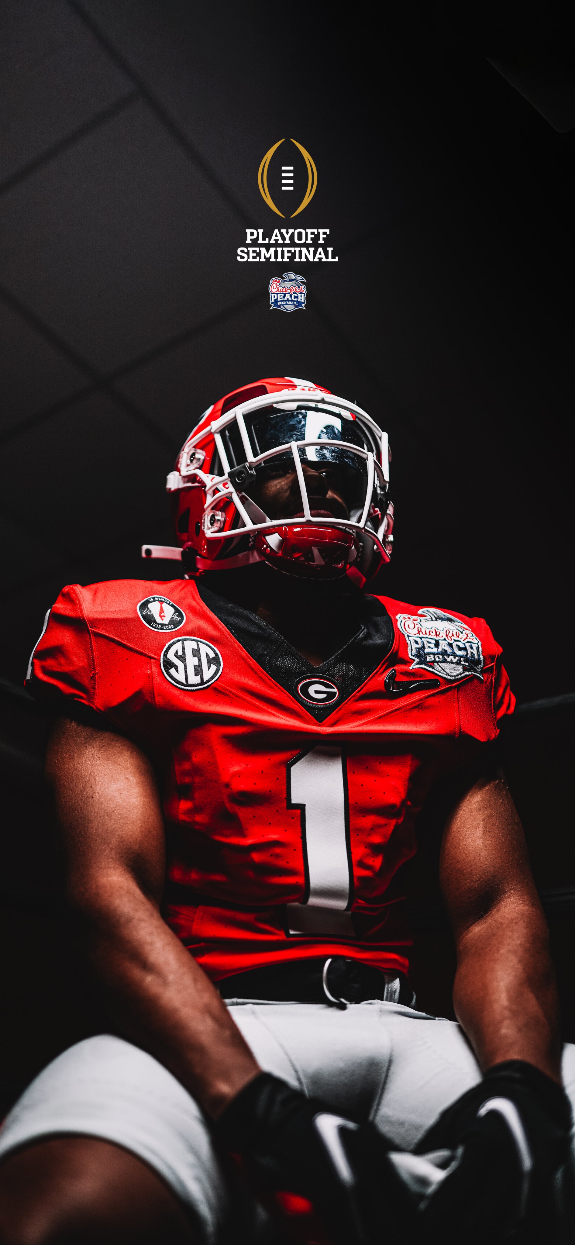 What Bowl Will Ga Bulldogs Play In