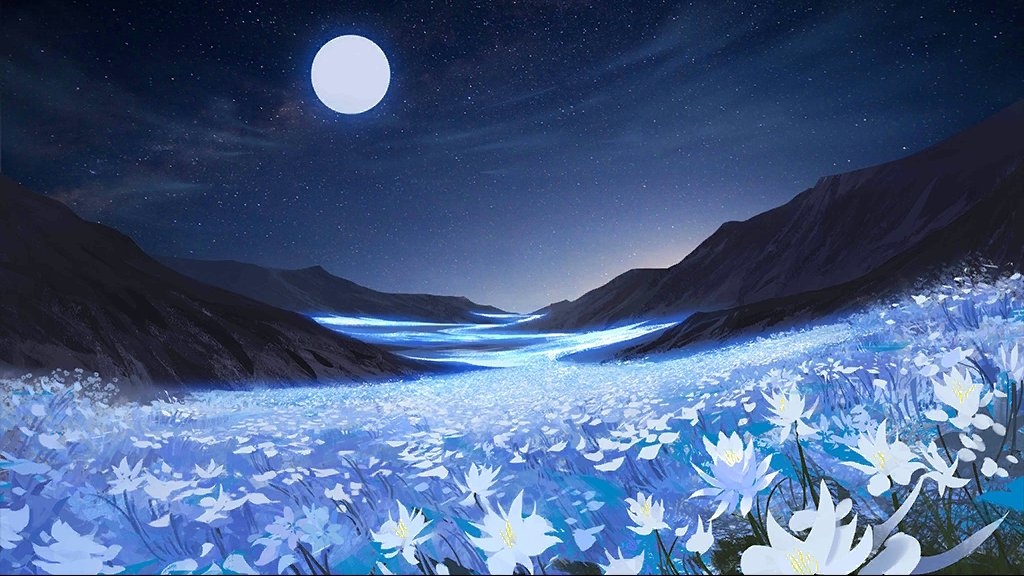 Flower Field At Night