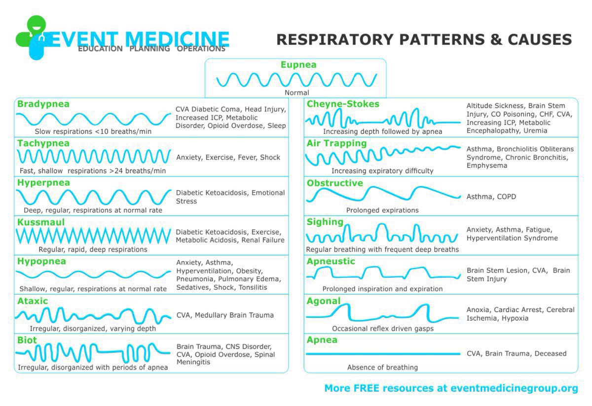 The Innovation | Medicine on Twitter: "Different Breathing Patterns"