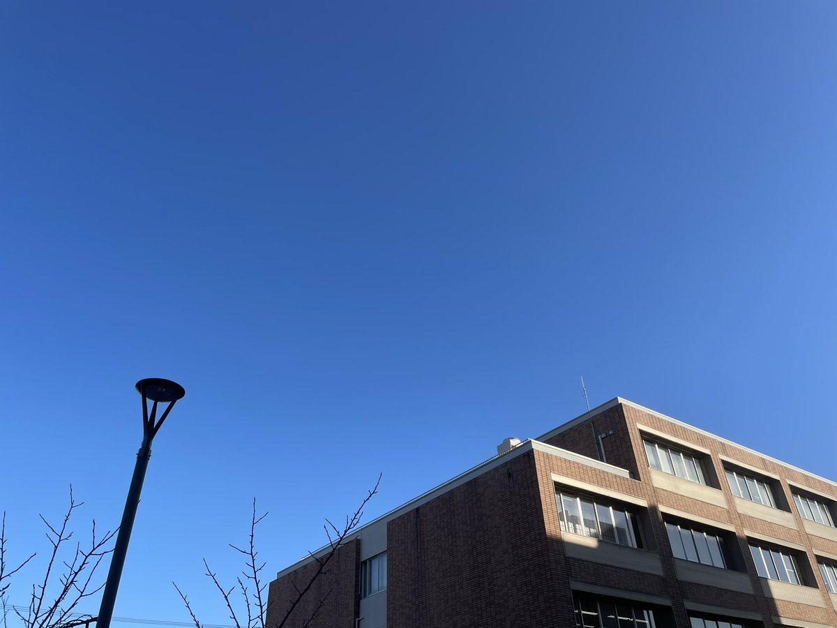 【公式】徳島大学(tokushima University) On Twitter おはようございます。徳島市 は気持ちの良い快晴です☀️そしてなんと、あと11人でフォロワー1000人