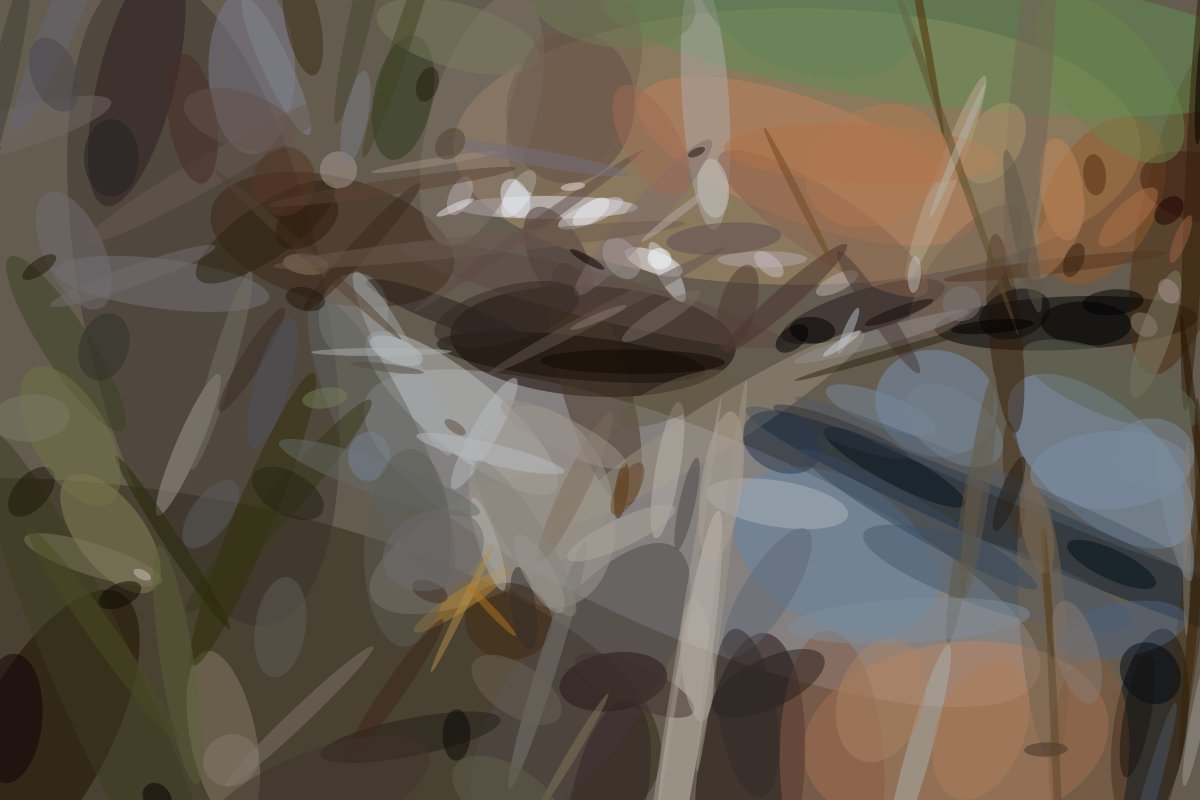 PrimitivePic on Twitter: "260 ellipses. https://flic.kr/p/2mYh9cs"