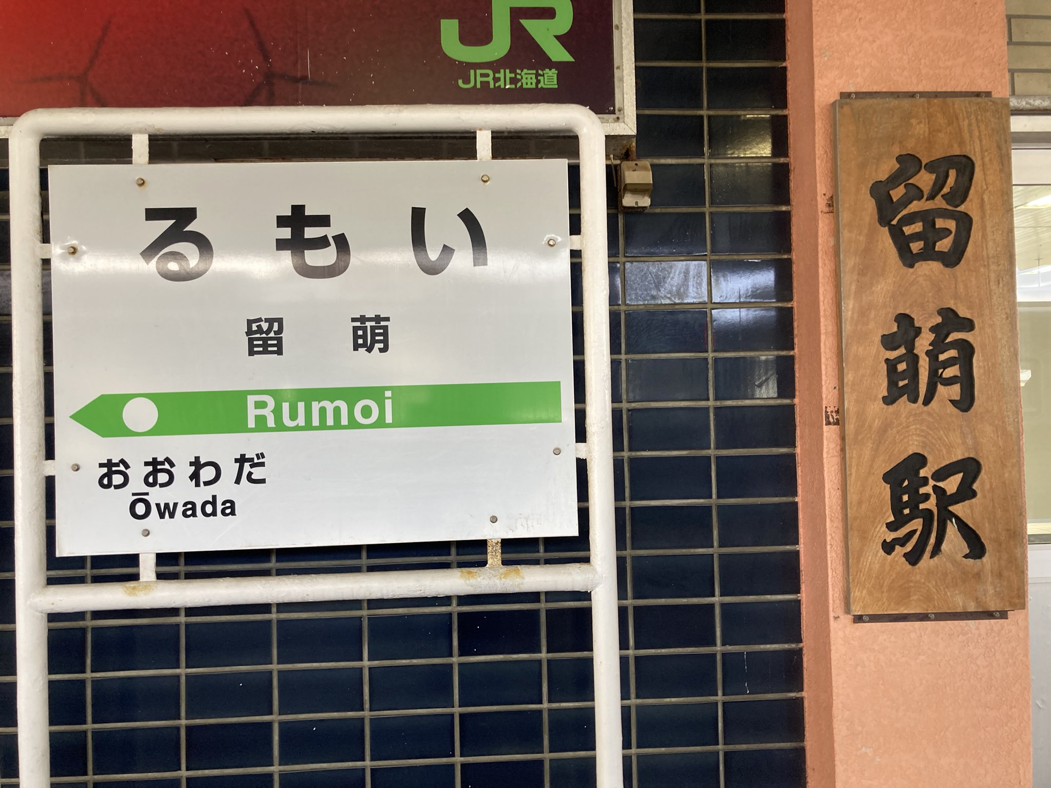 高橋千歳 (@iruka_suda) / Twitter