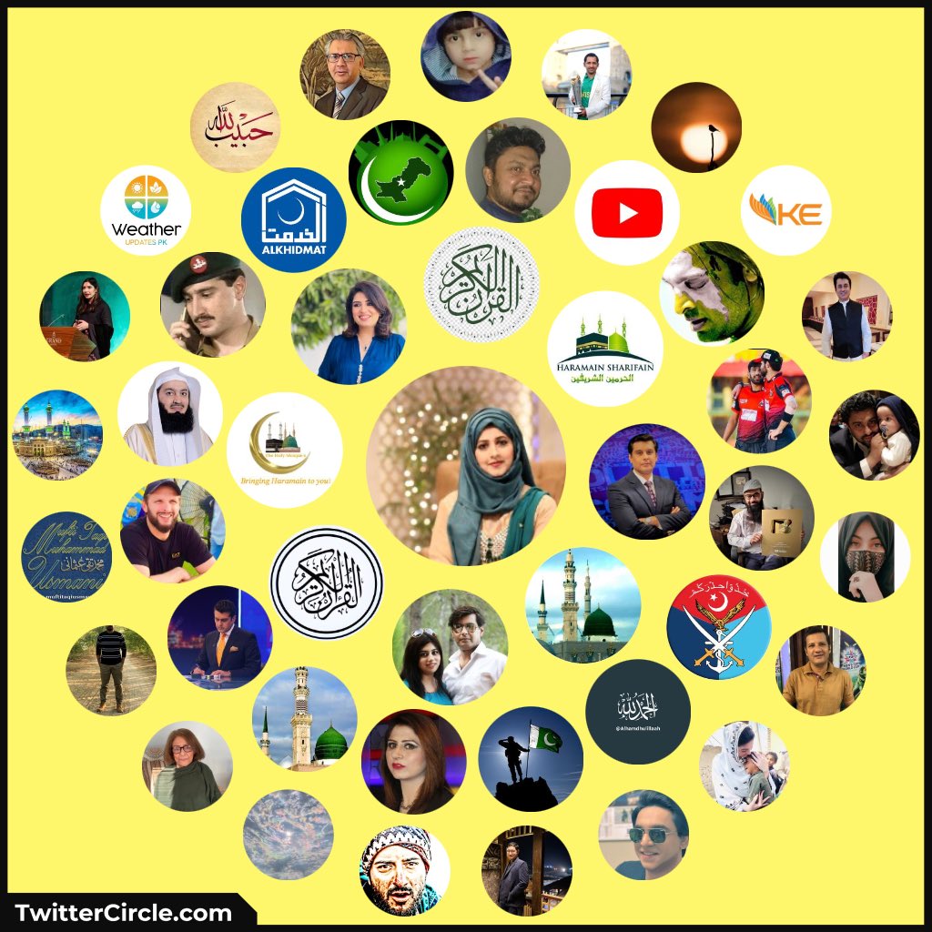 Dr Bushra Iqbal🇵🇰 on Twitter: "My Twitter Interaction Circle generated by https://t.co ...
